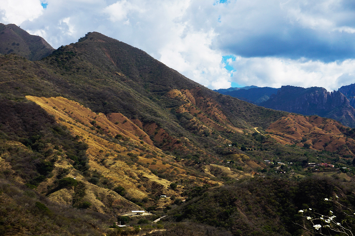 Sinaloa sin El Chapo. La guerra por el poder - Pie de Página