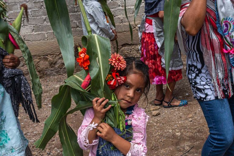 El baile de la milpa por la buena cosecha - Pie de Página
