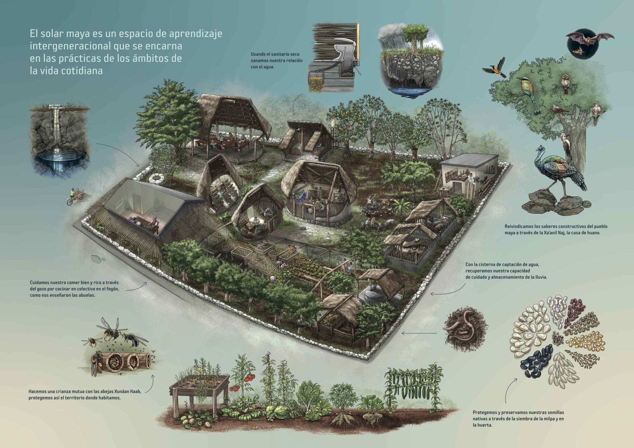 Comunicar el solar maya: colectivo aviva práctica ancestral en Sinanché ...