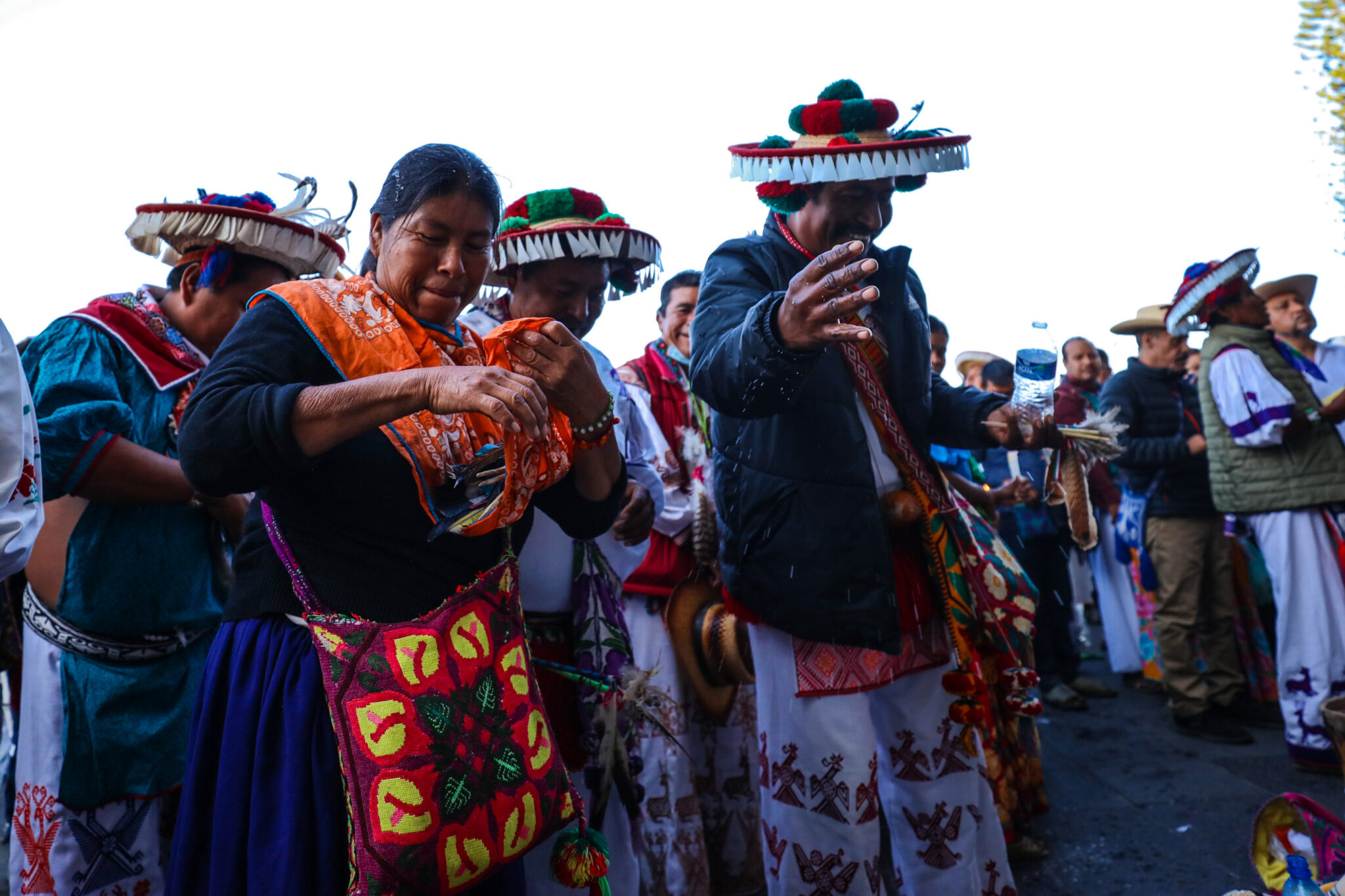 La fortaleza del pueblo Wixárika - Pie de Página