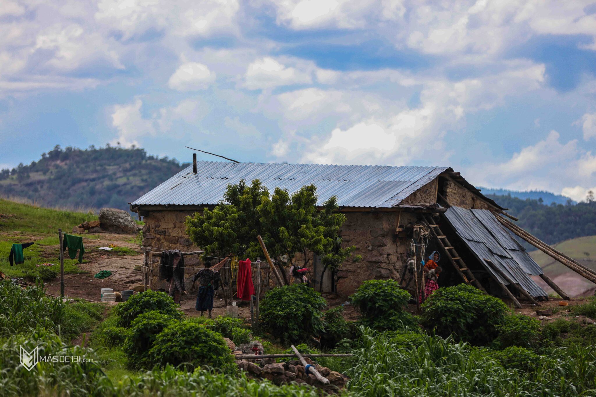 Enfrentar el colonialismo y el desarraigo: rarámuris y jesuitas en la ...