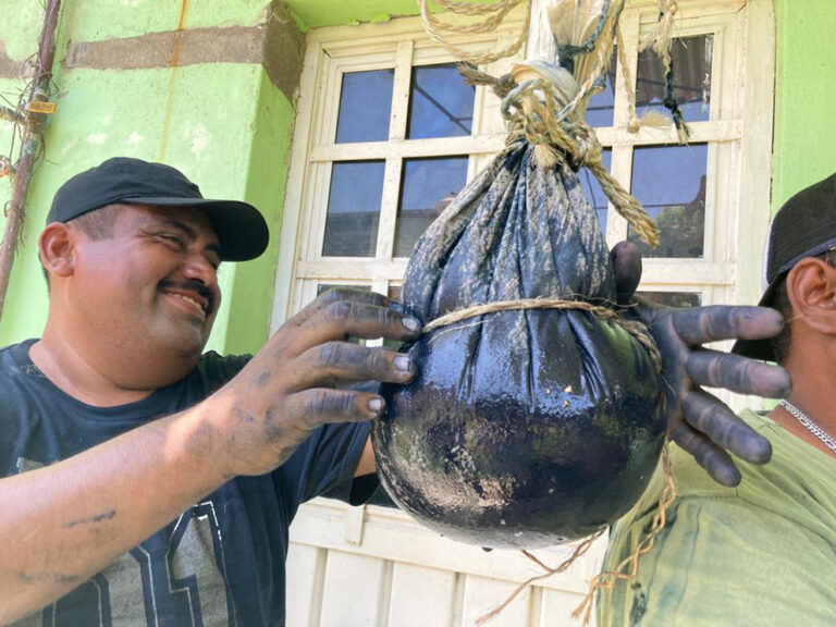 El Añil, “el oro azul” que produce Niltepec Oaxaca para el mundo - Pie ...