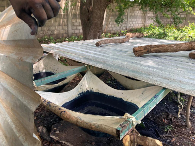 El Añil, “el oro azul” que produce Niltepec Oaxaca para el mundo - Pie ...