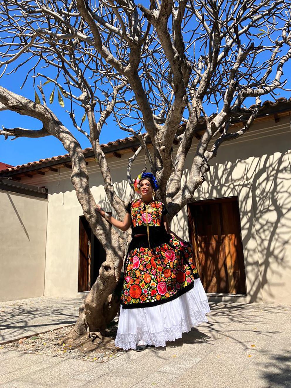 Semana de la diversidad muxe en Juchitán: fotografía, charlas, concurso ...