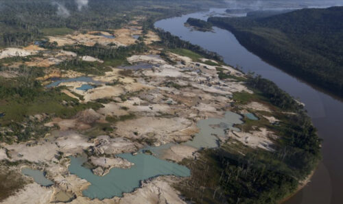Venezuela ha perdido más de un millón de hectáreas de bosques y sabanas ...
