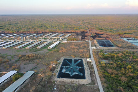 Empresa de la familia Loret de Mola provoca desastre ambiental en ...