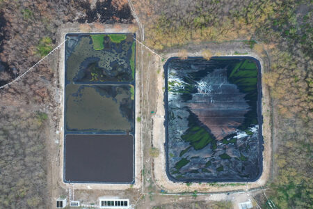Empresa de la familia Loret de Mola provoca desastre ambiental en ...
