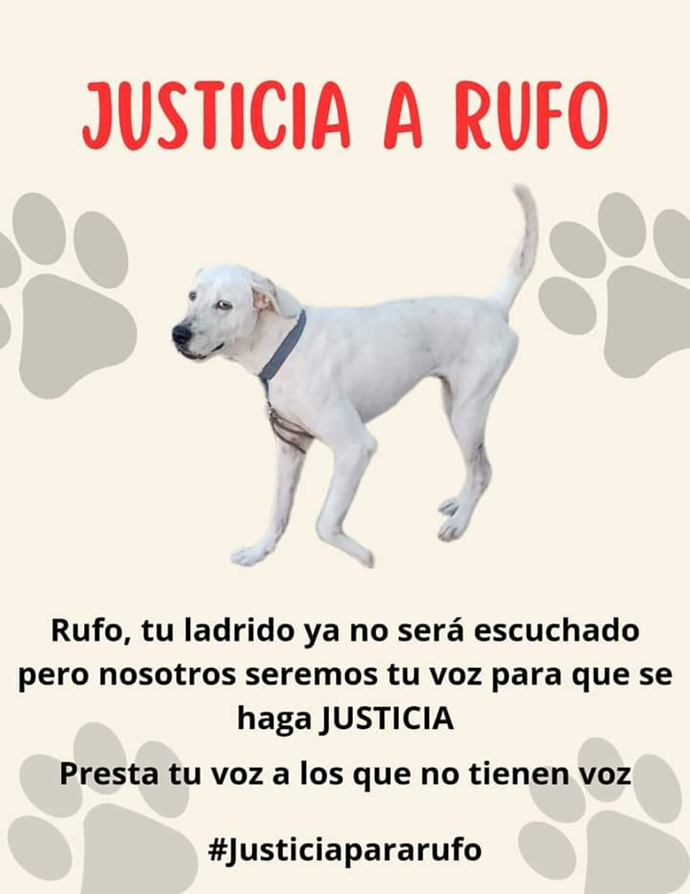 Yucatán, la crueldad animal en “un estado pacífico” - Pie de Página