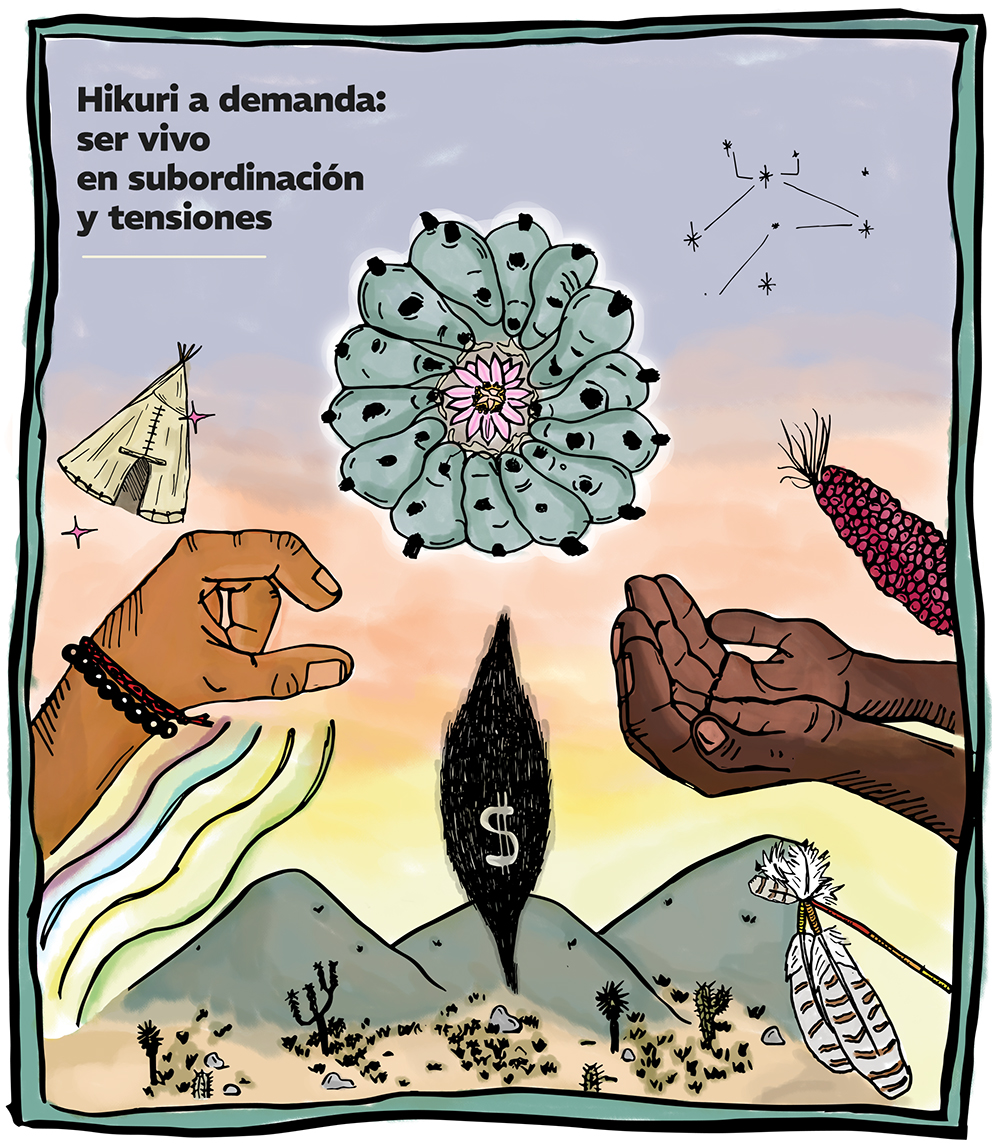 Hikuri a demanda: ser vivo en subordinación y tensiones - Pie de Página